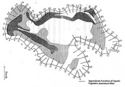 Aquatic Plant Surveys - EnviroScience : EnviroScience