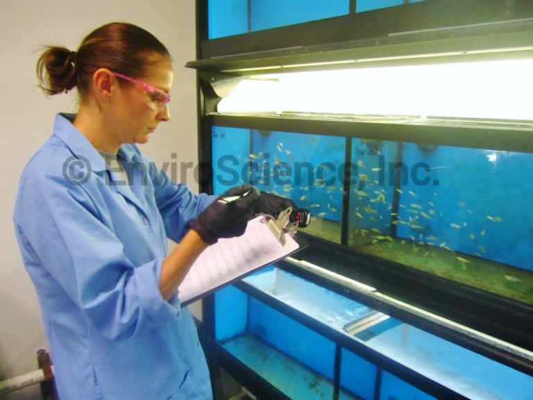 Bioassay Fish Tanks - EnviroScience : EnviroScience