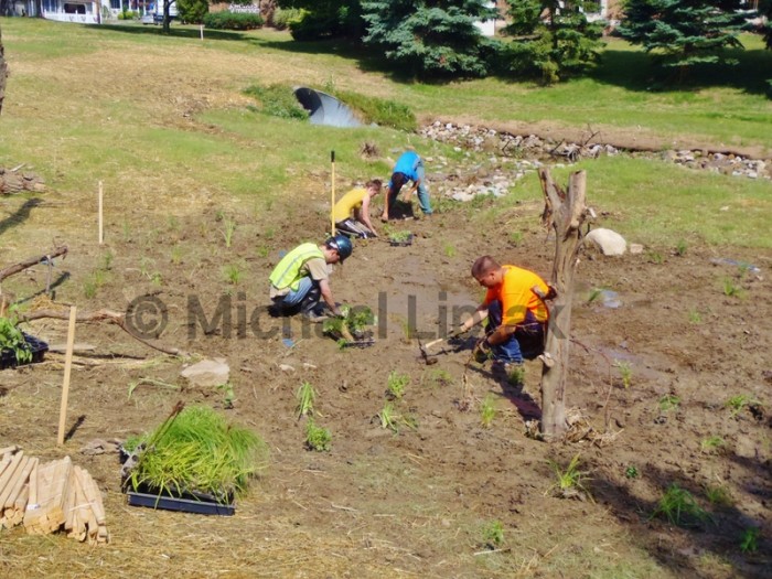 Wetlands Mitigation Planning : EnviroScience