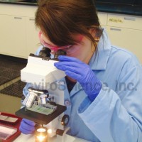 Bioassay Lab & Environmental Testing Services | EnviroScience ...