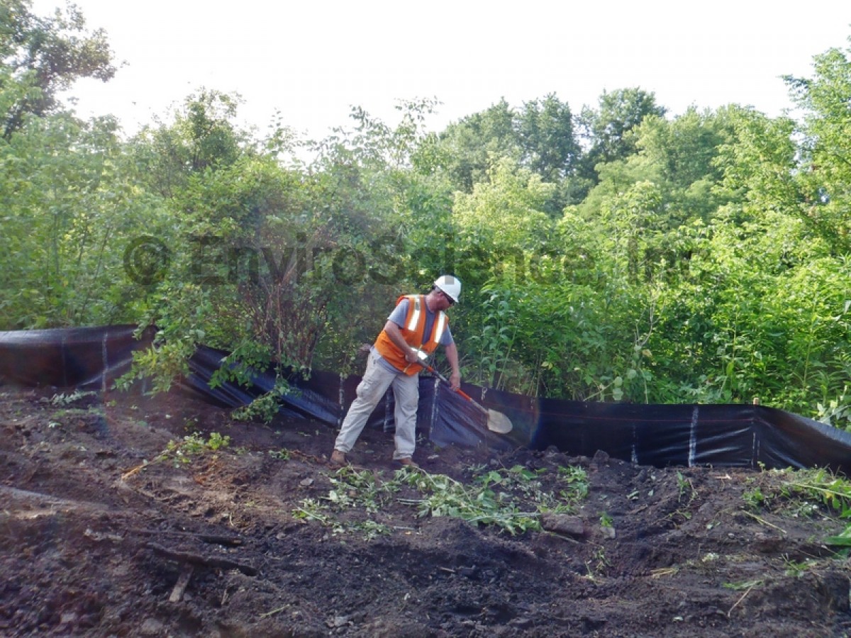 Wetland Restoration Services | EnviroScience, Inc. : EnviroScience