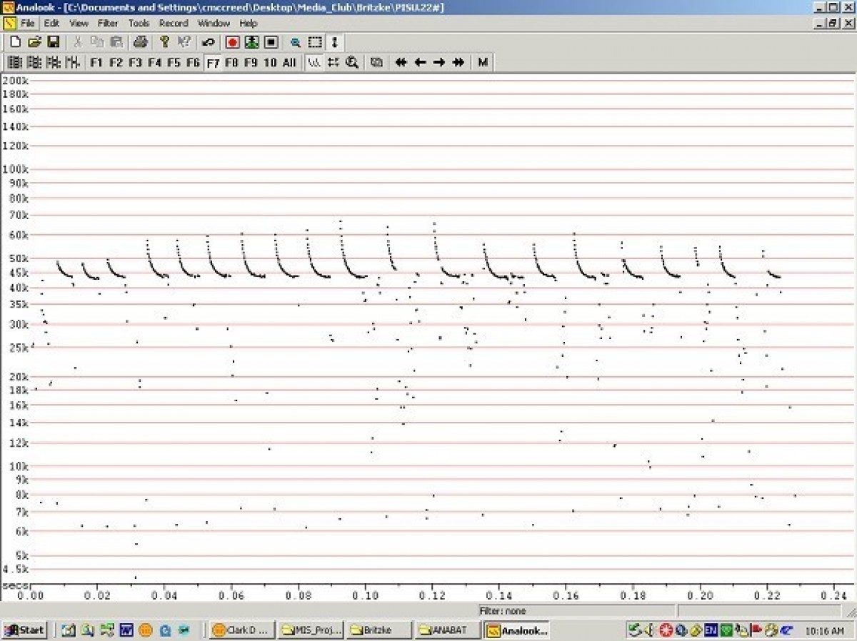 Anabat System bat acoustic monitoring - EnviroScience : EnviroScience