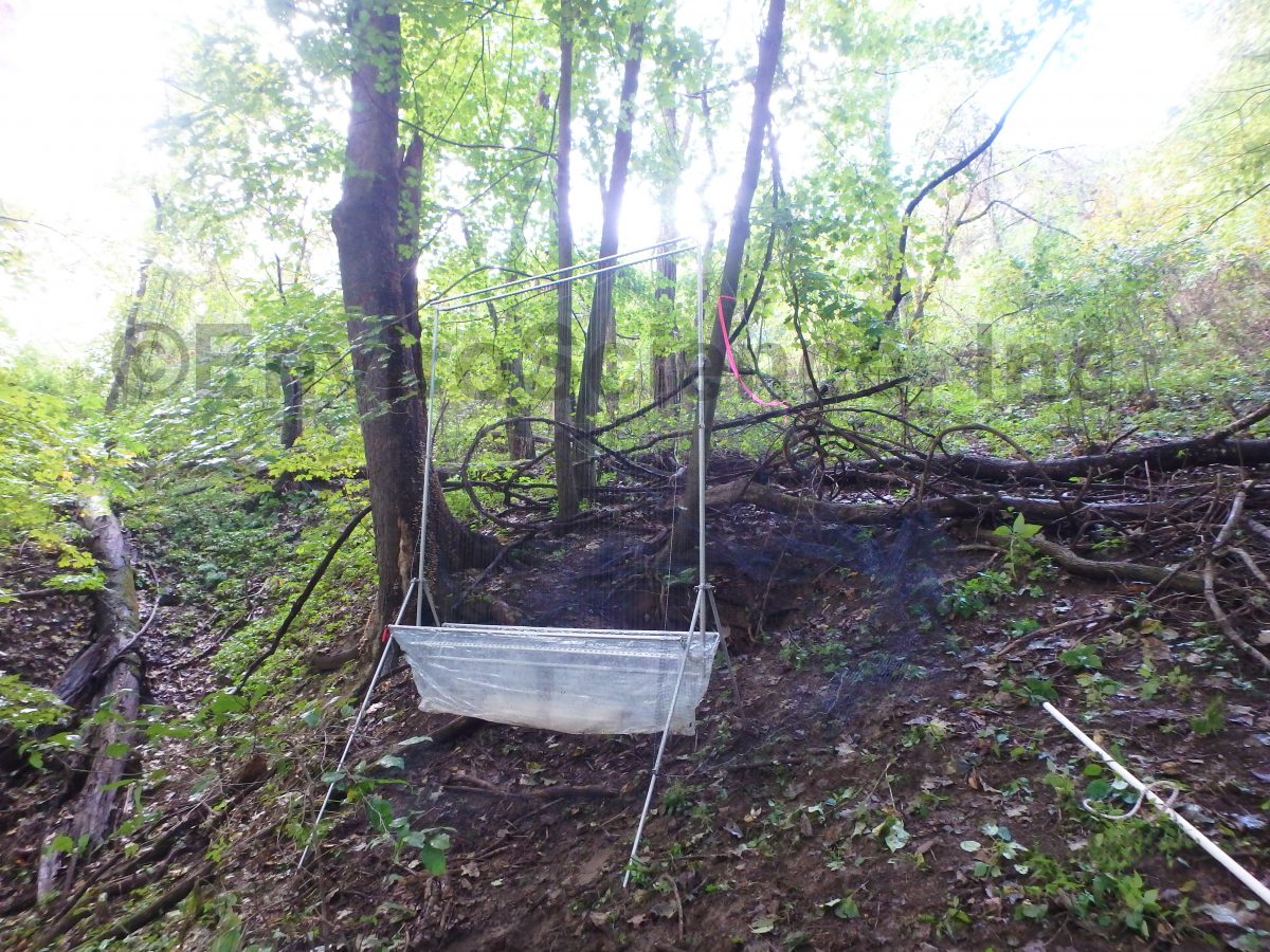 harp trapping - EnviroScience : EnviroScience