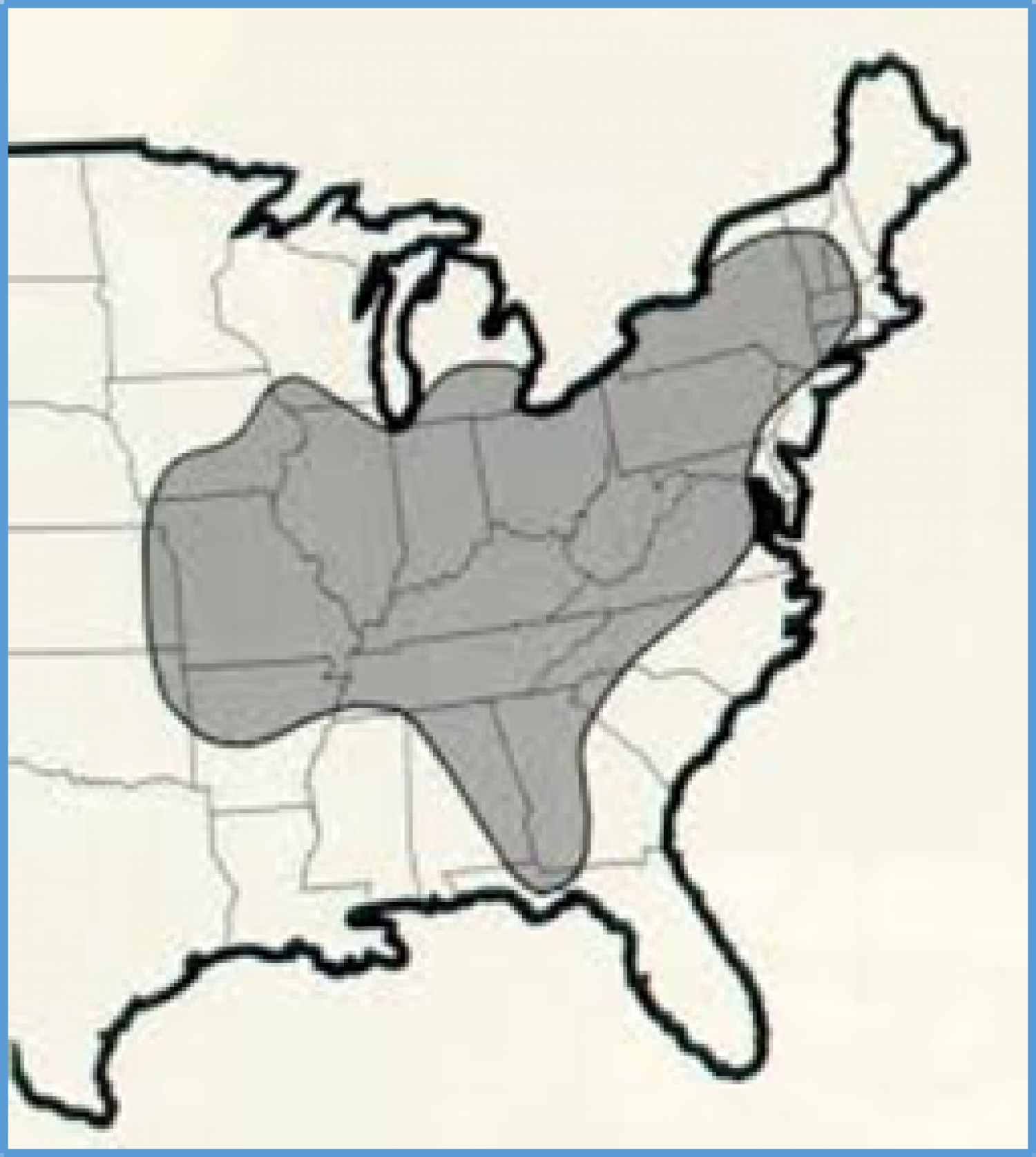Threatened and Endangered Bat Surveys | EnviroScience : EnviroScience