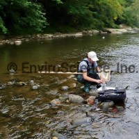 Benthic Macroinvertebrates & Biological Monitoring | EnviroScience ...
