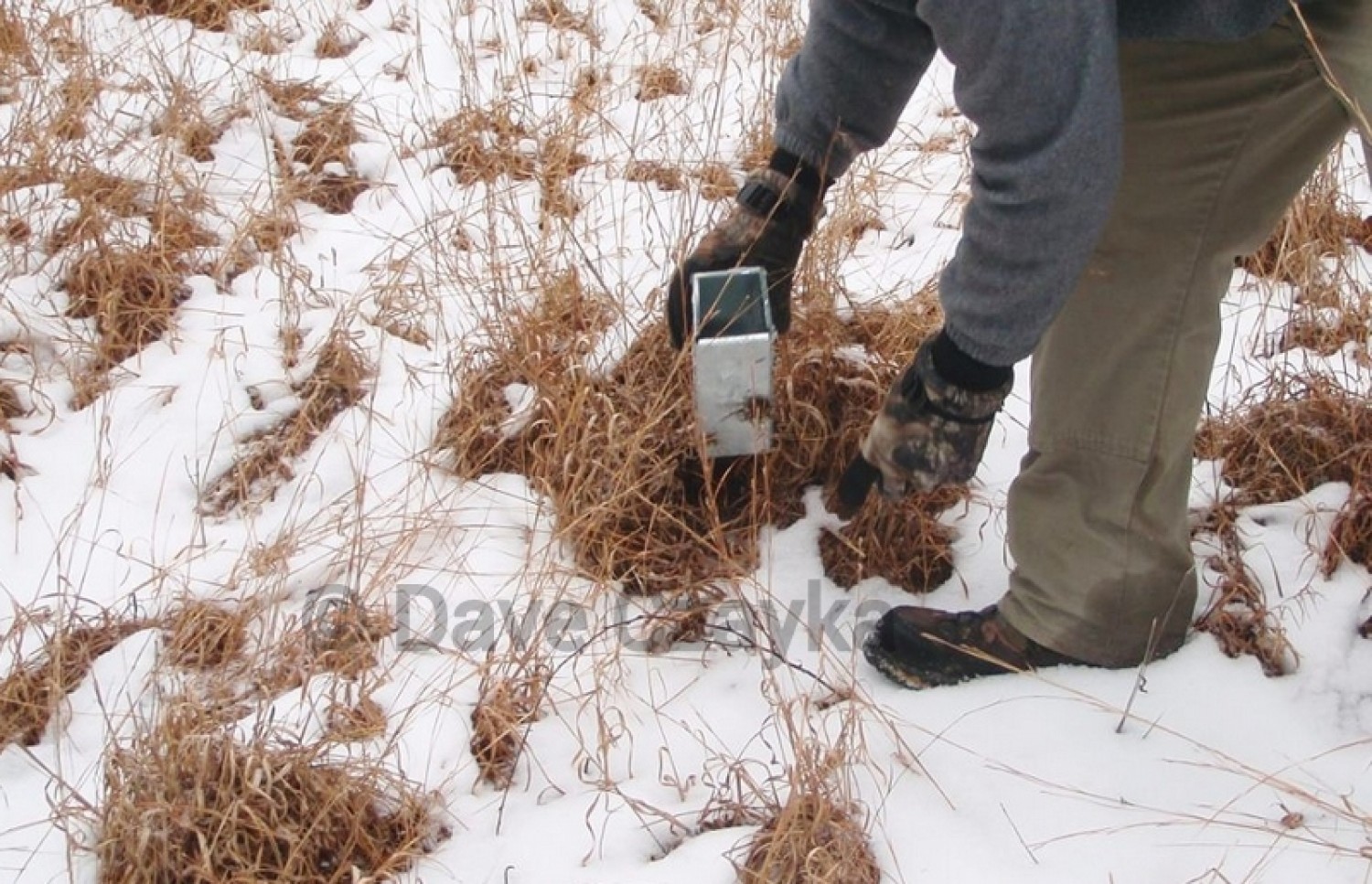 Sherman trap Capture - EnviroScience : EnviroScience