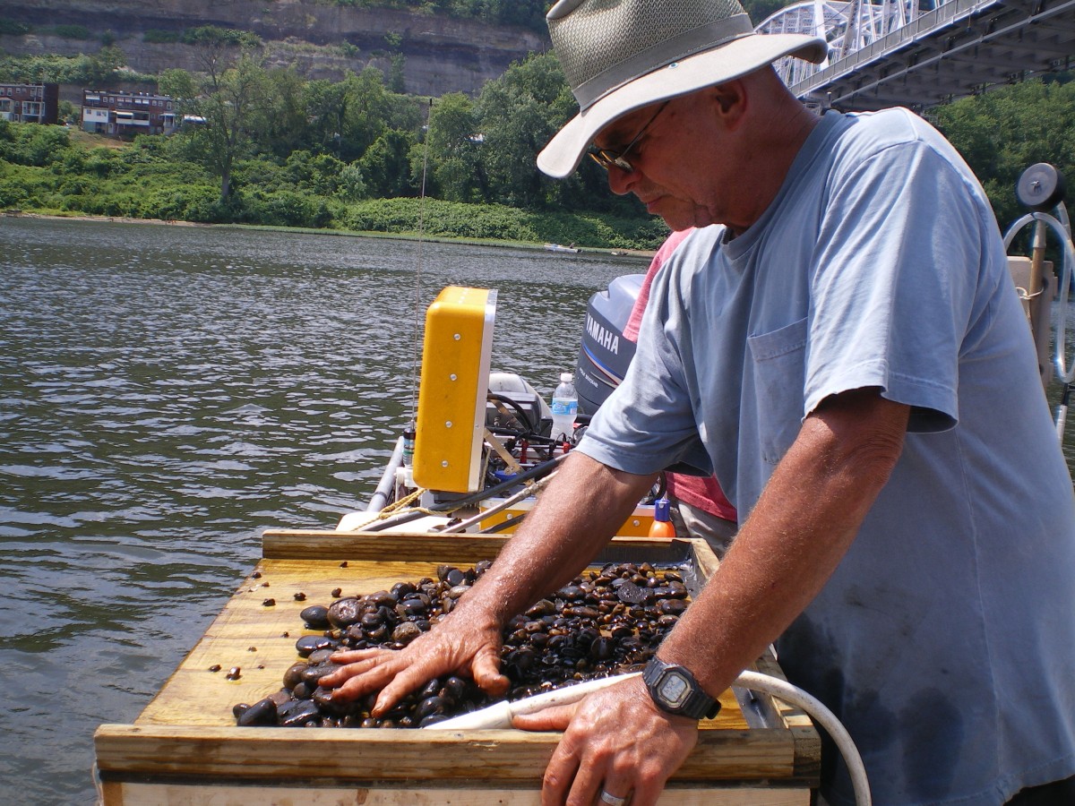 Senior Malacologist Marty Huehner | EnviroScience, Inc. : EnviroScience