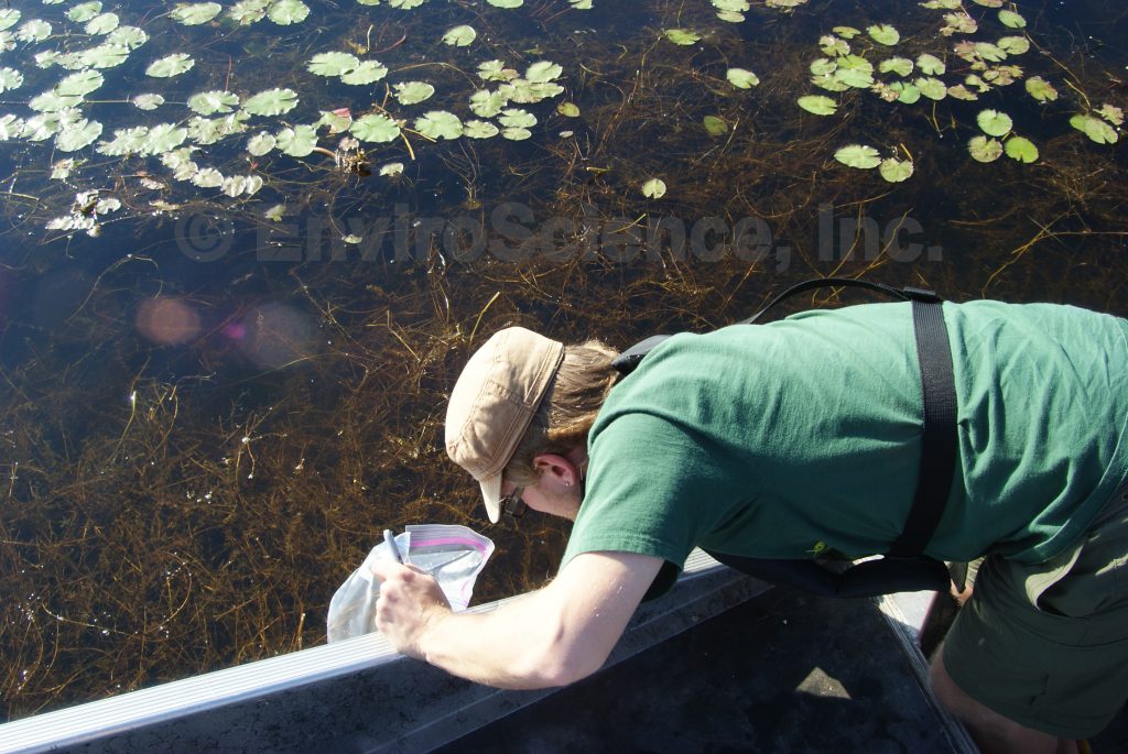 Algae Identification, Analysis, and Lab Services - EnviroScience ...