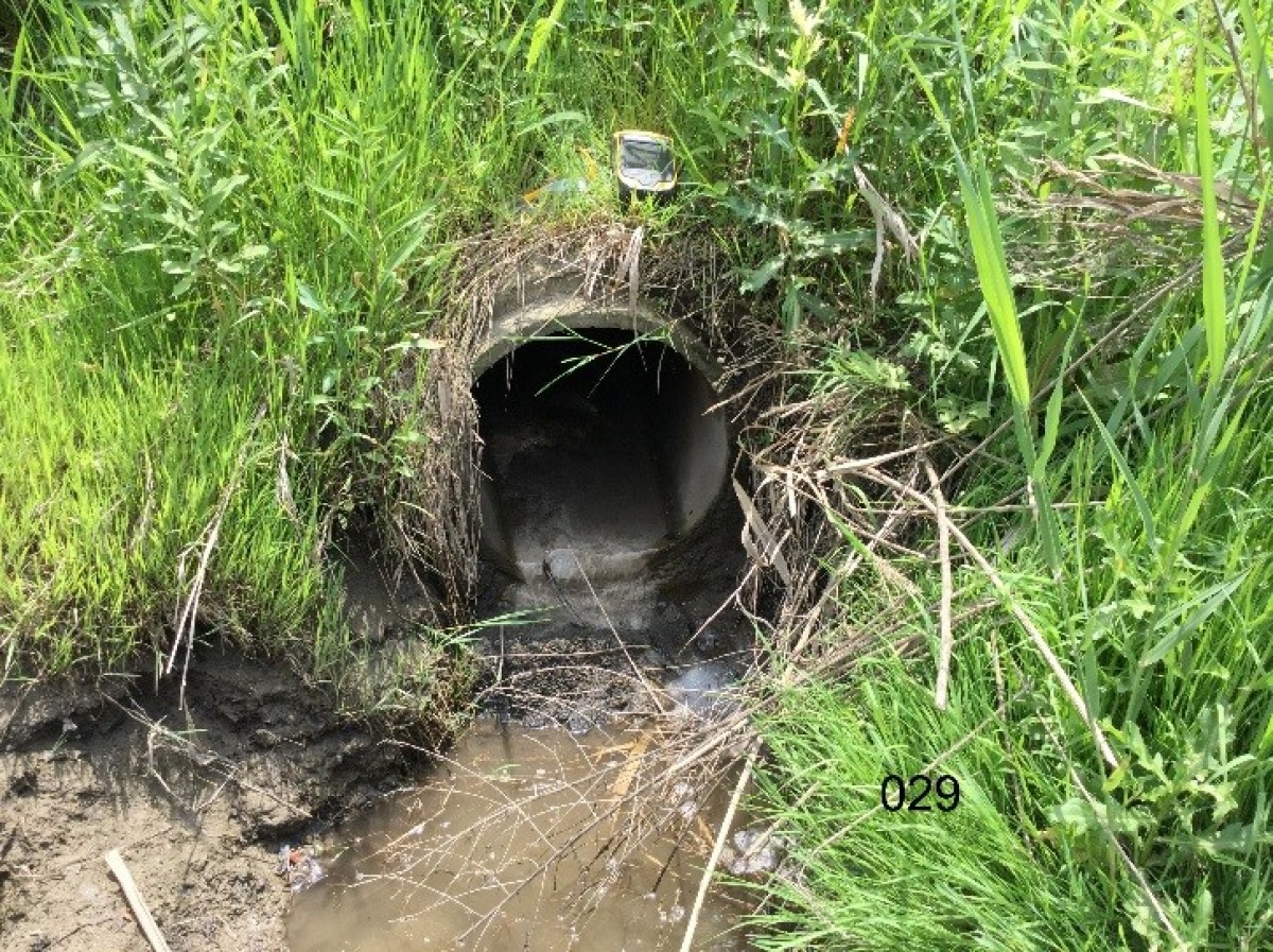 Industrial MSGP Assistance : EnviroScience