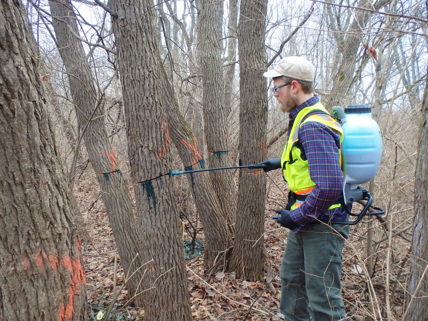 Invasive Species Control | EnviroScience, Inc. : EnviroScience