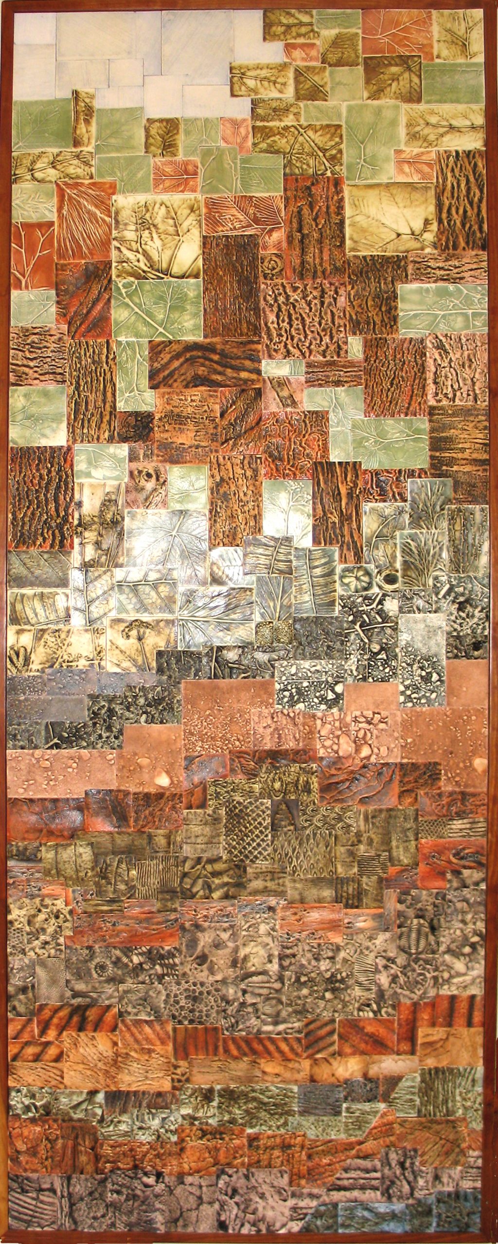 2 Forest Strata 271 views entire.jpg - EnviroScience : EnviroScience