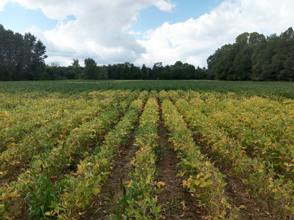 EnviroScience Designs Newly Constructed Lake at Toledo Springer Farm ...