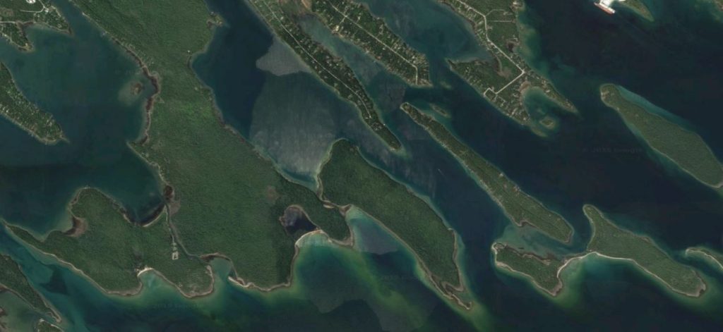 Rare Species Lake Cress Rediscovered in Les Cheneaux Islands ...