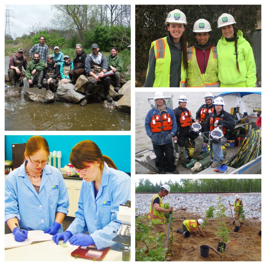 Careers - EnviroScience : EnviroScience