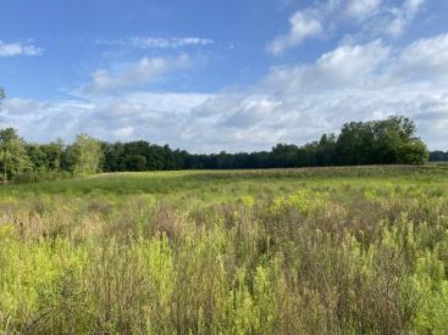 Ag-FIeld - EnviroScience : EnviroScience