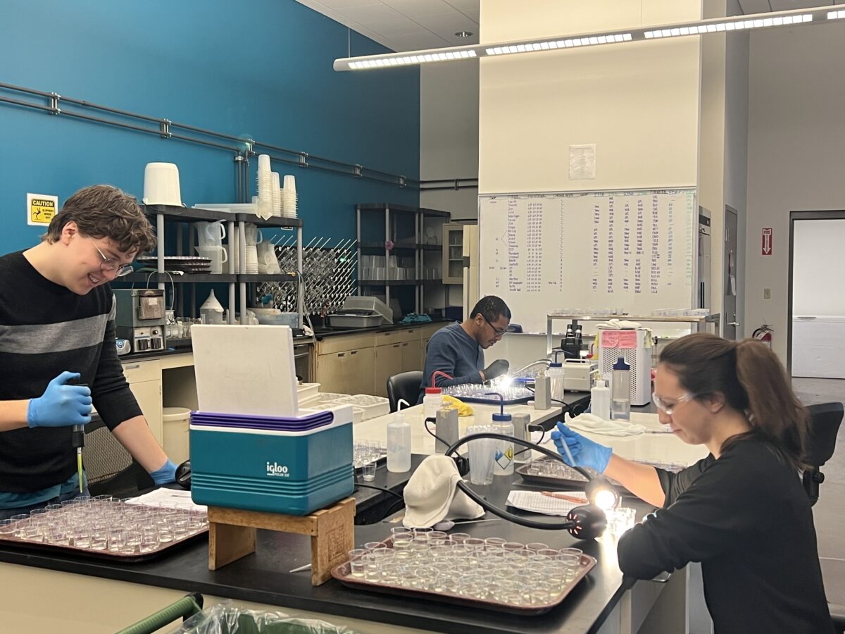 Specialized Toxicity Testing | EnviroScience, Inc. : EnviroScience