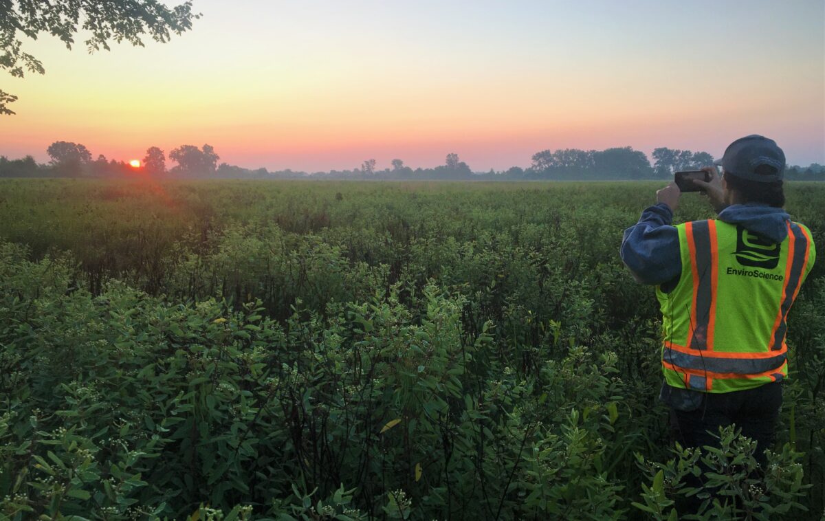 Migration and Breeding Bird Surveys : EnviroScience