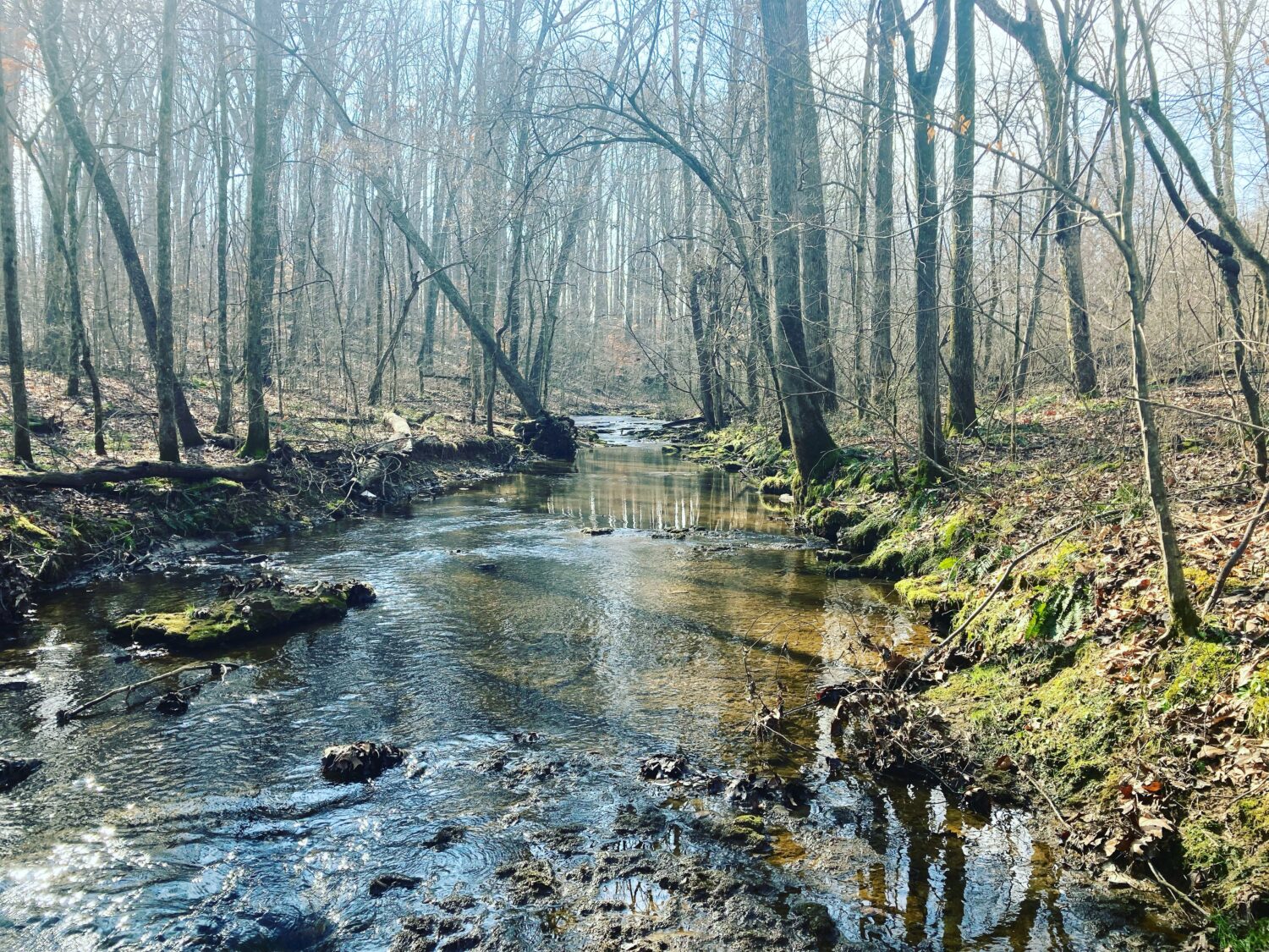 Waters of the U.S. (WOTUS) Update | EnviroScience : EnviroScience