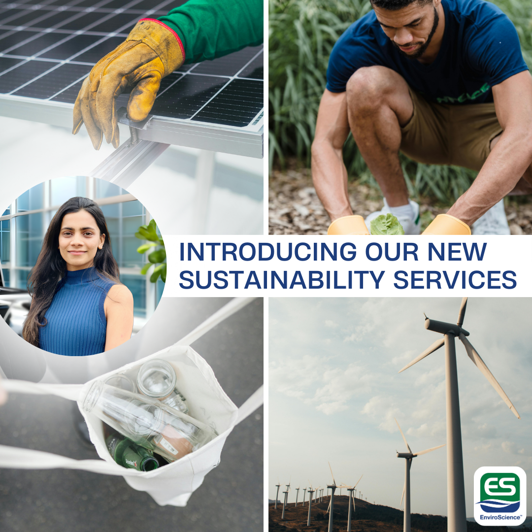 Make Your Business More Sustainable Today | EnviroScience, Inc ...
