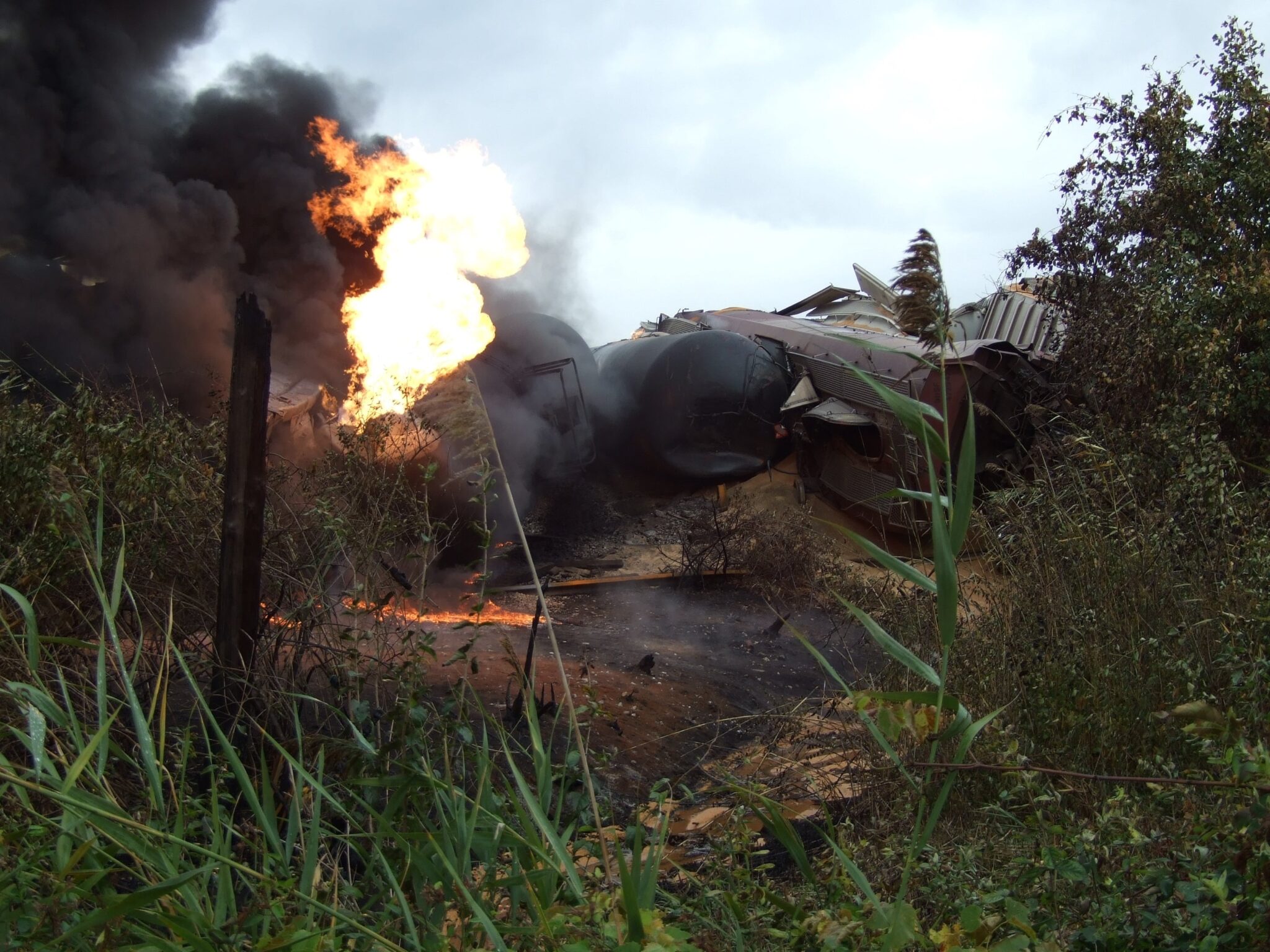 Natural Resource Damage Assessment (NRDA) | EnviroScience : EnviroScience