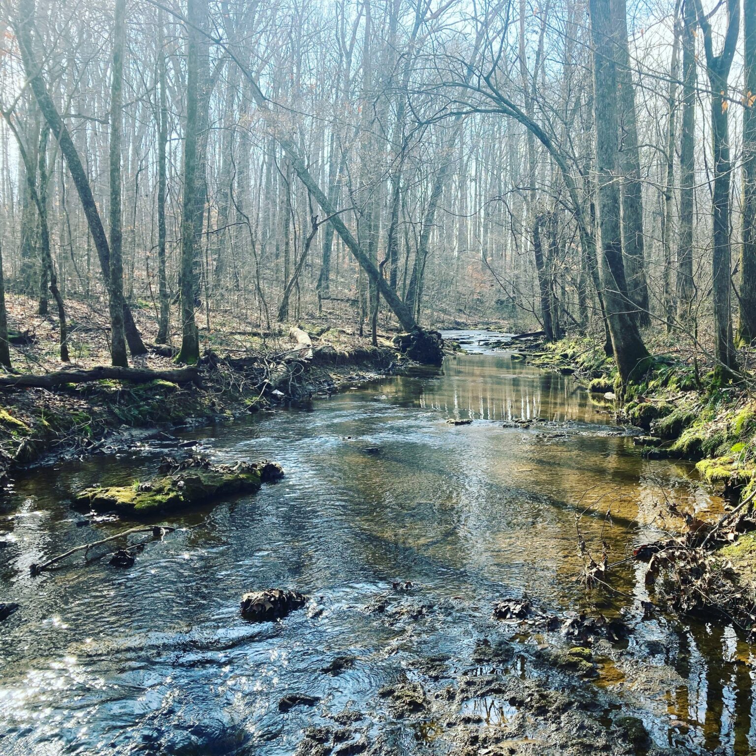 Navigating Ohio EPA’s New Wetlands & Streams Regulations ...