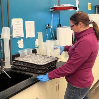 NELAP-Certified Toxicity Testing Laboratory Services | EnviroScience ...