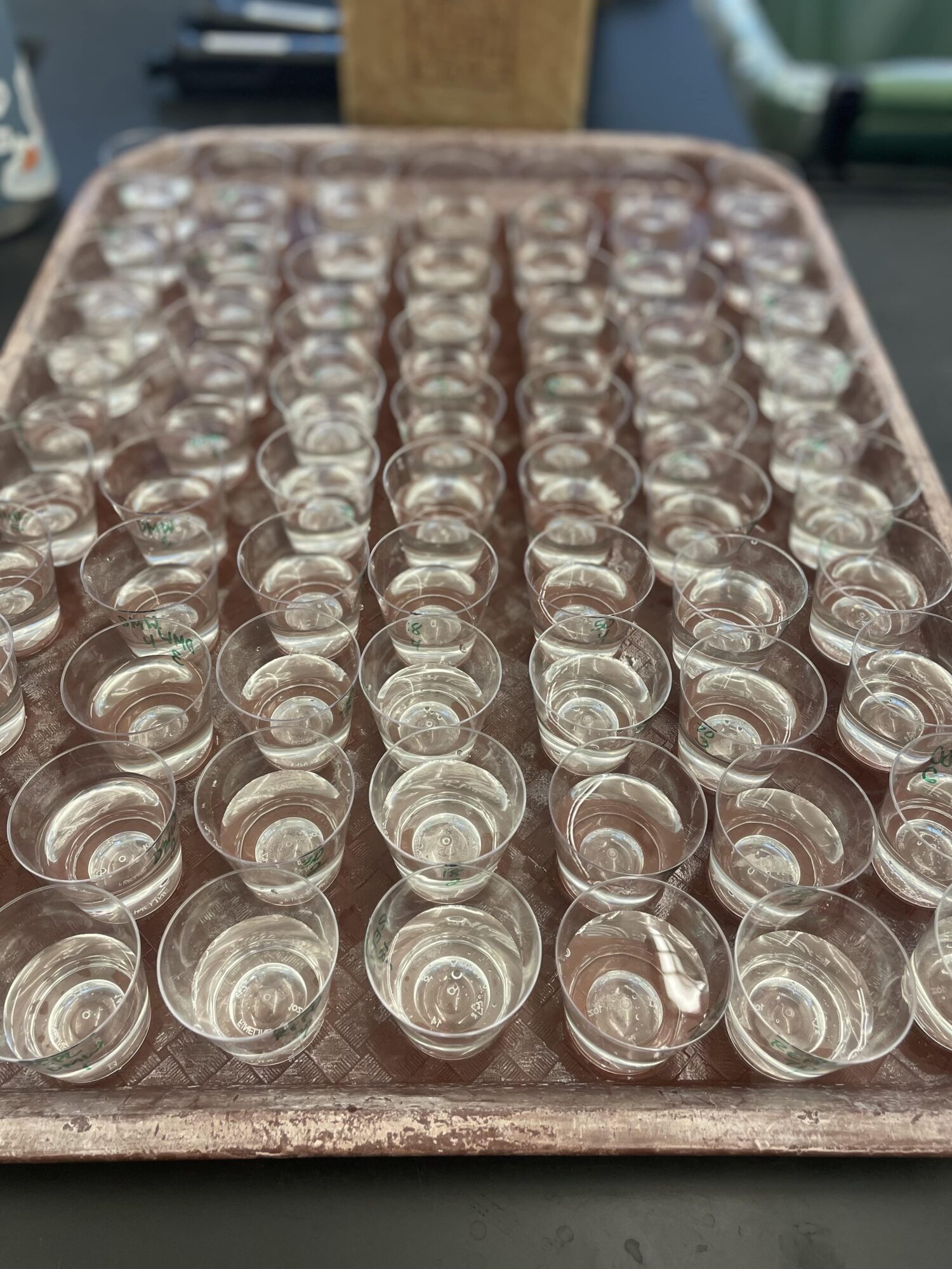 NELAP-Certified Toxicity Testing Laboratory Services | EnviroScience ...