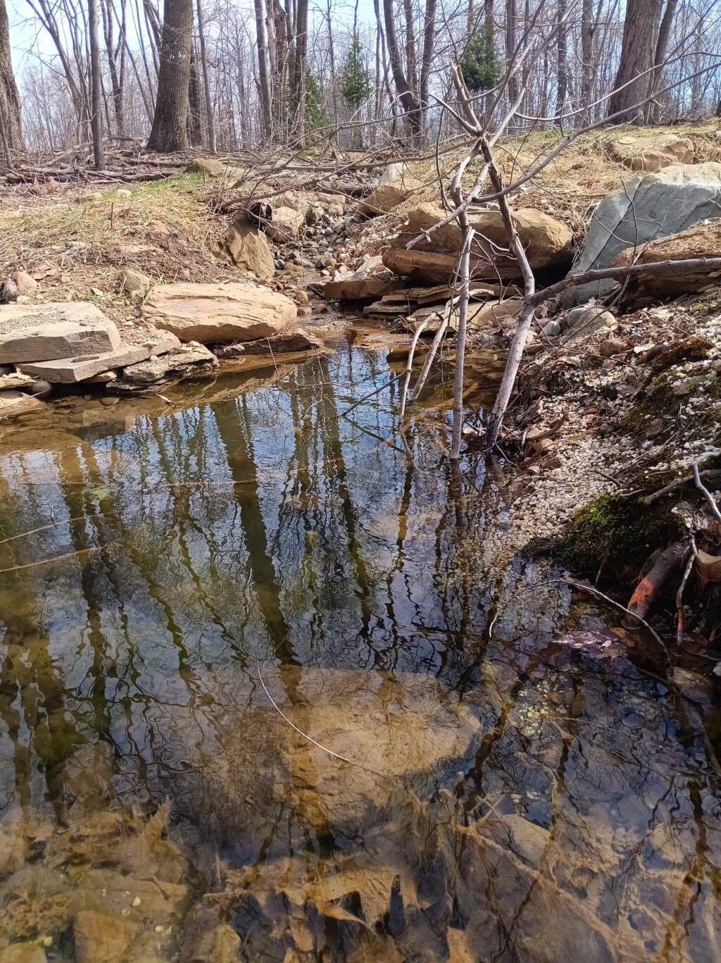 Ecological Uplift: Coldwater Stream & Habitat Restoration ...
