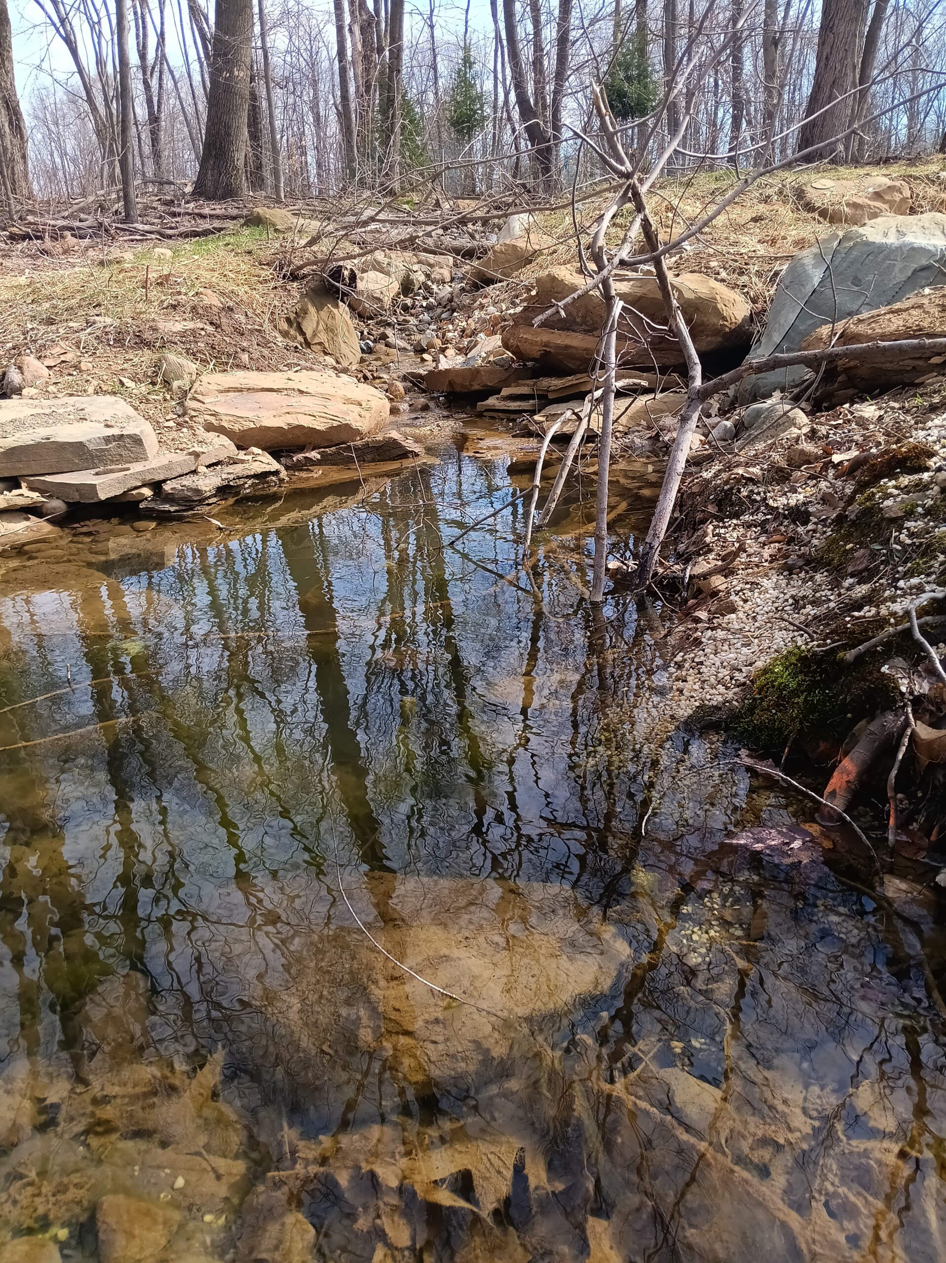 Ecological Uplift: Coldwater Stream & Habitat Restoration ...