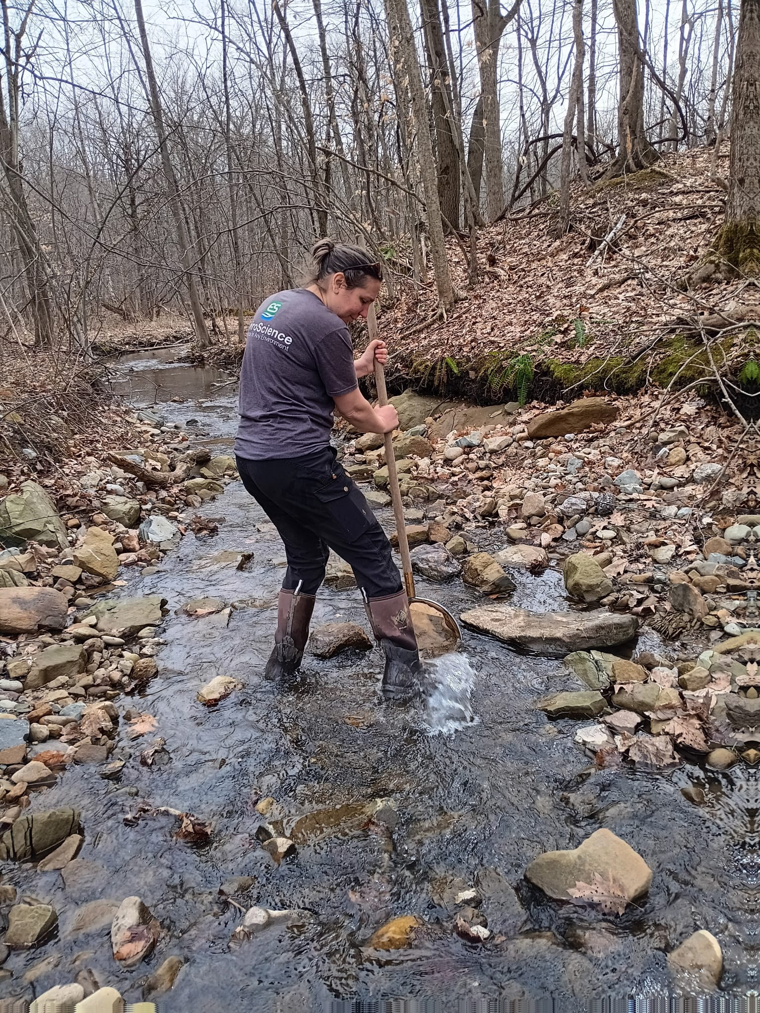 Ecological Uplift: Coldwater Stream & Habitat Restoration ...