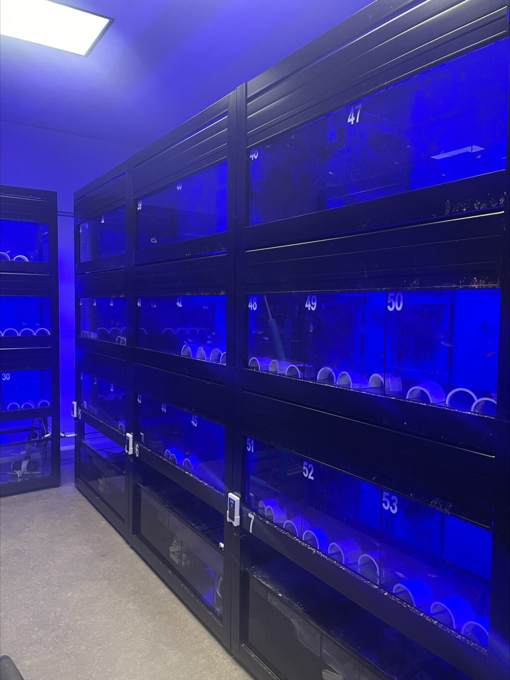 Whole Effluent Toxicity Testing & TIE/TRE Services for Compliance ...